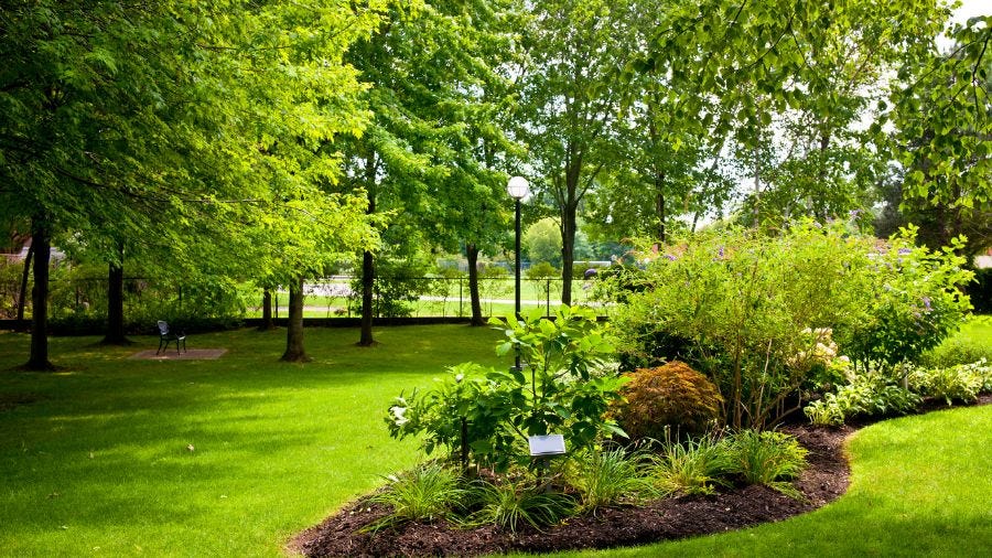 The Benefits and Best Practices of Landscaping Services | Logics Valley
