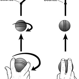 Difference Between Spin and Pace Meaning | Logics Valley